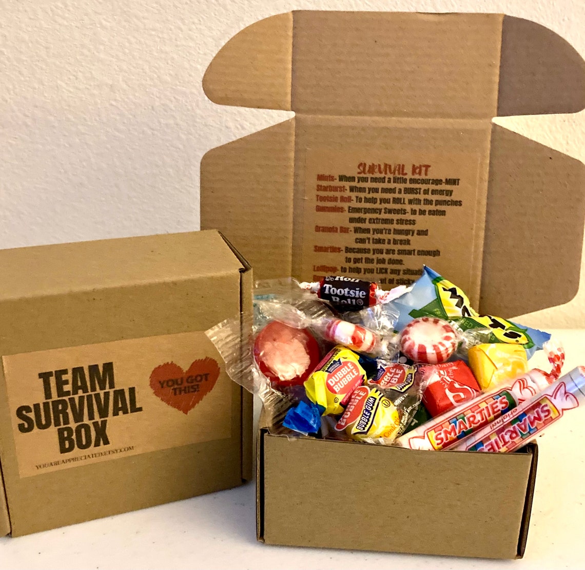 Team Survival Kit. Best Employee Appreciation Gifts.unique - Etsy