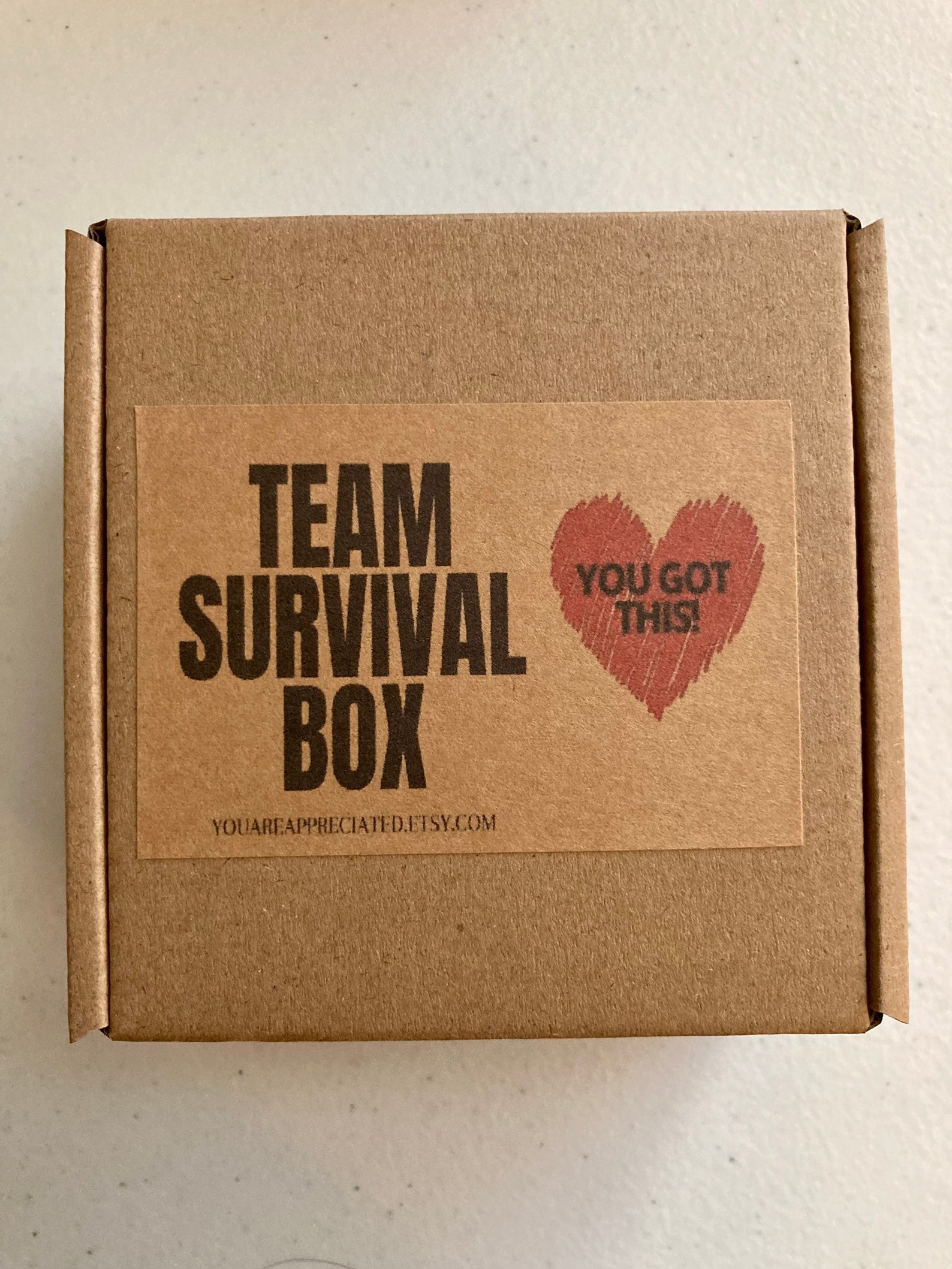 Team Survival Kit. Best Employee Appreciation Gifts.unique - Etsy