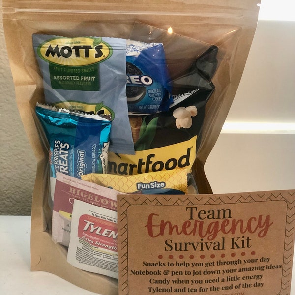 Work Survival Kit - Etsy