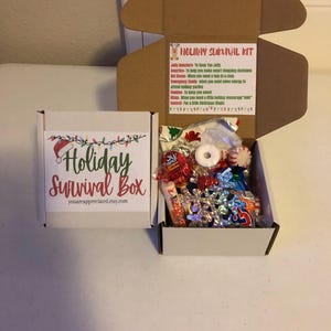 Holiday Survival Kit. Employee Christmas Appreciation Gift. Staff Gift ...