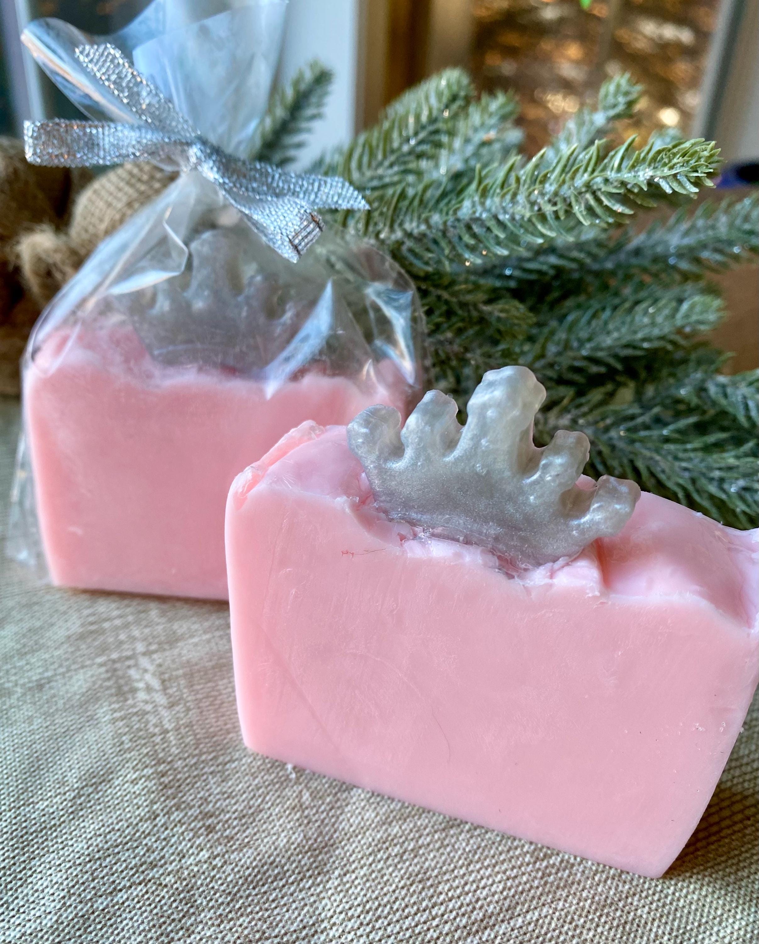 Wicked Gift Box| Good Witch Soap | Gift for Teen Girl | Bath Gift for ...