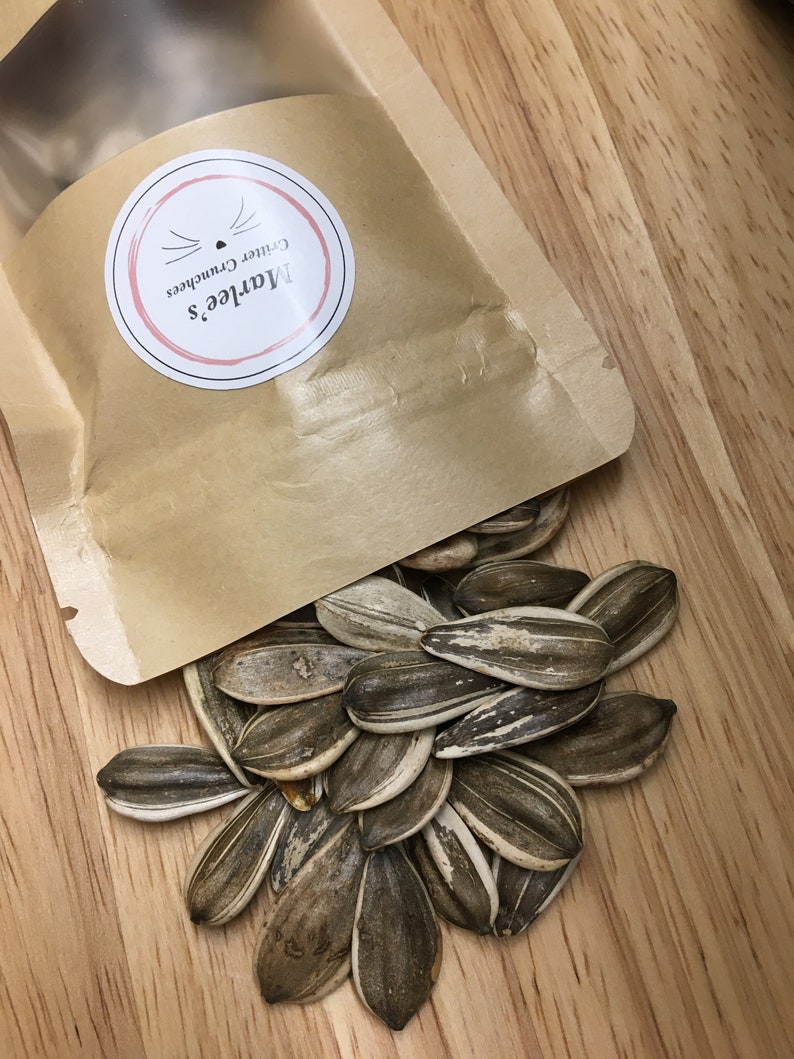 ISRAELI SUNFLOWER SEEDS (raw, in Shell) - Etsy