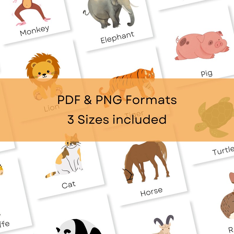 30 Printable Animal Flash Cards for Children Montessori - Etsy Australia