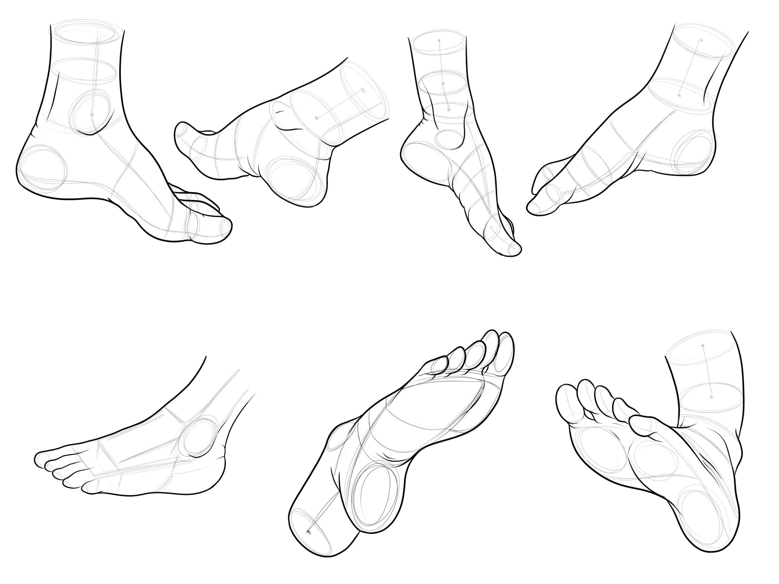Human Portrait Feet Set 1 Procreate Brush Stamps 39 Foot - Etsy