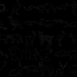 Forest Animals, Outlines & Silhouettes Set 1 Procreate Brush Stamps, 90 ...