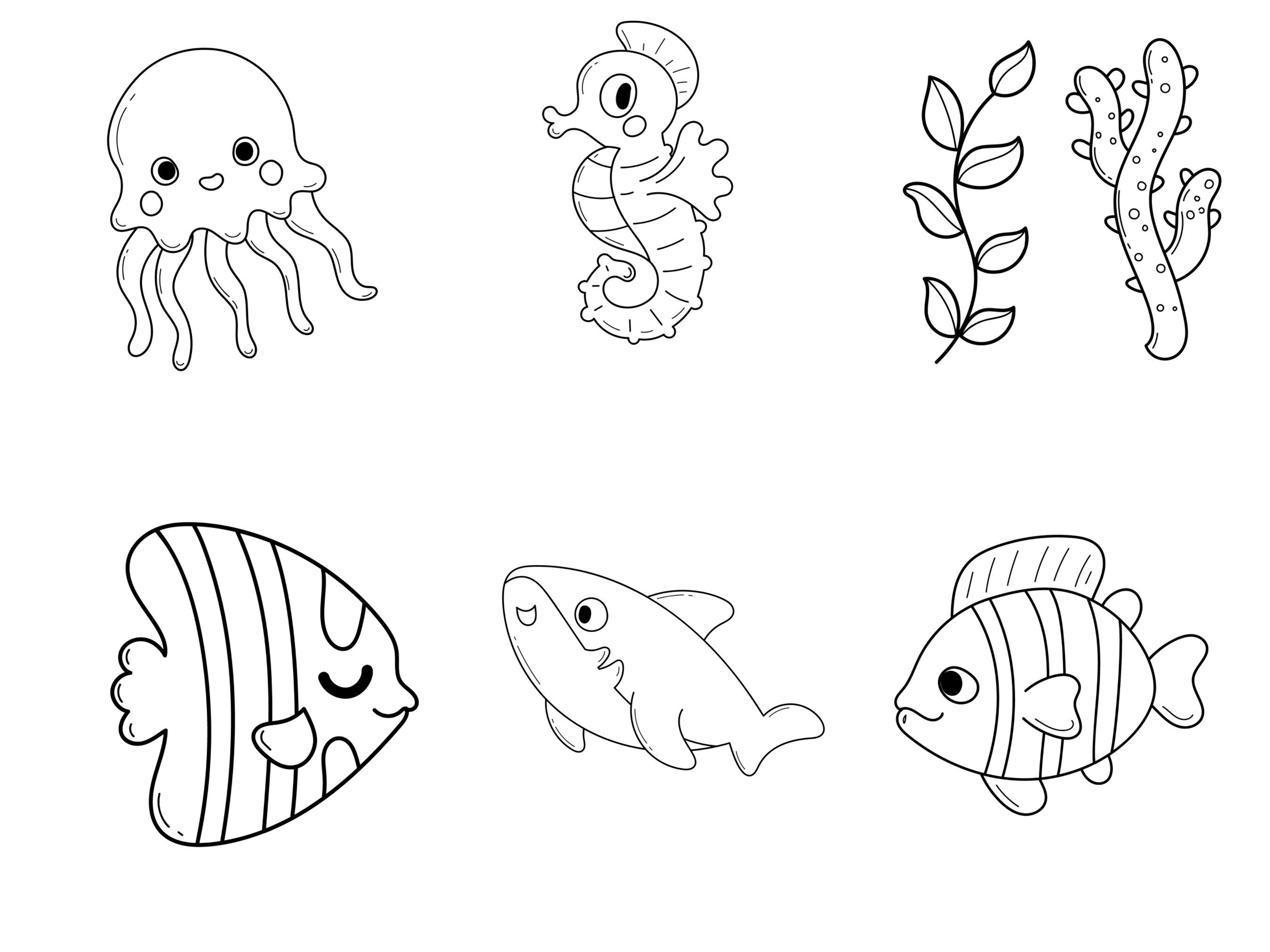 Cartoon Sea Animals Outlines Set 2 Procreate Brush Stamps 31 - Etsy