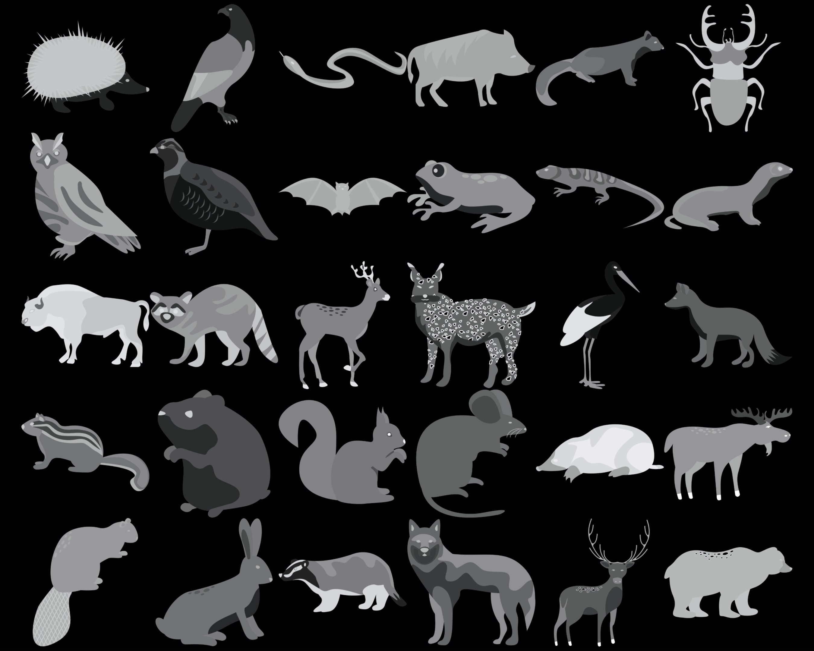 Forest Animals, Outlines & Silhouettes Set 1 Procreate Brush Stamps, 90 ...