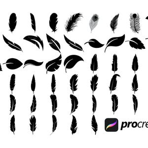 Feathers Set 5 Procreate Brush Stamps, 51 Feather Stamps - Etsy