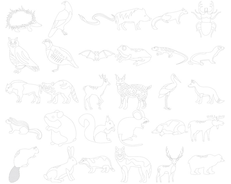 Forest Animals, Outlines & Silhouettes Set 1 Procreate Brush Stamps, 90 ...