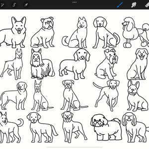 Cartoon Dogs Outlines Procreate Brush Stamps, 20 Dog Brushes - Etsy
