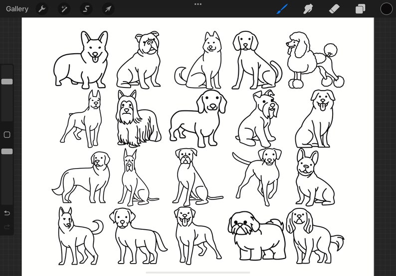 Cartoon Dogs Outlines Procreate Brush Stamps, 20 Dog Brushes - Etsy