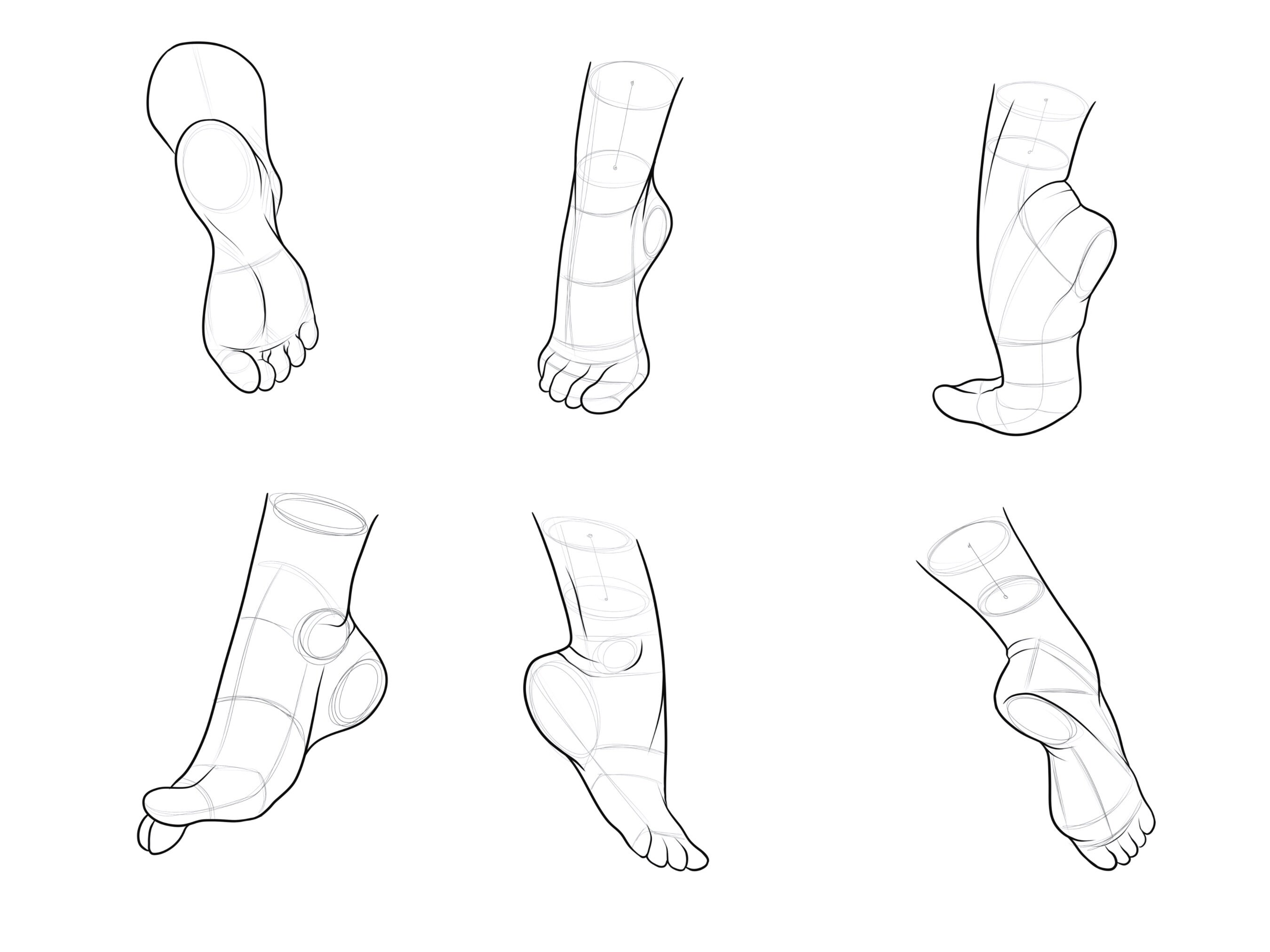 Human Portrait Feet Set 1 Procreate Brush Stamps 39 Foot - Etsy