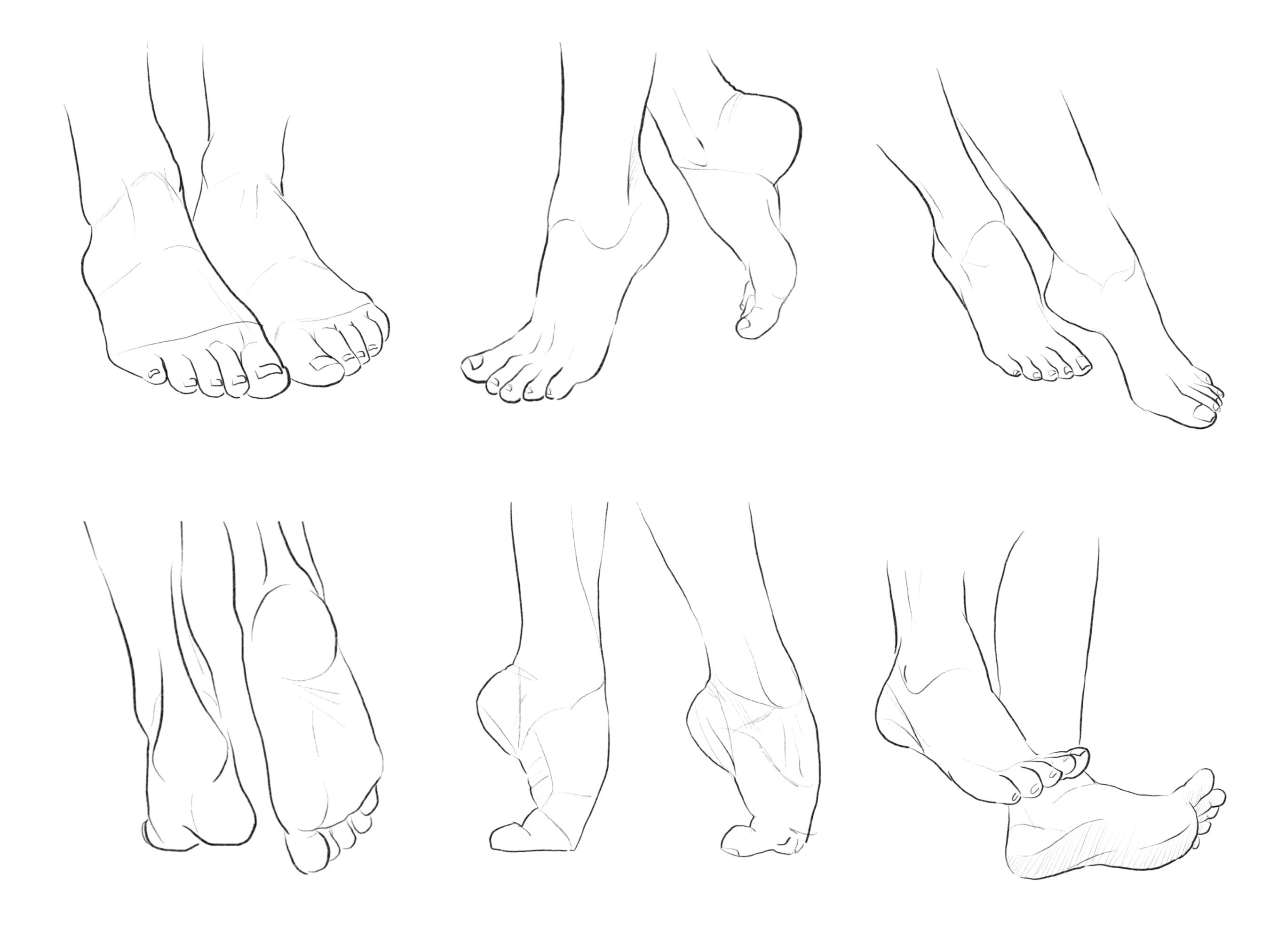 Human Portrait Feet Set 1 Procreate Brush Stamps 39 Foot - Etsy