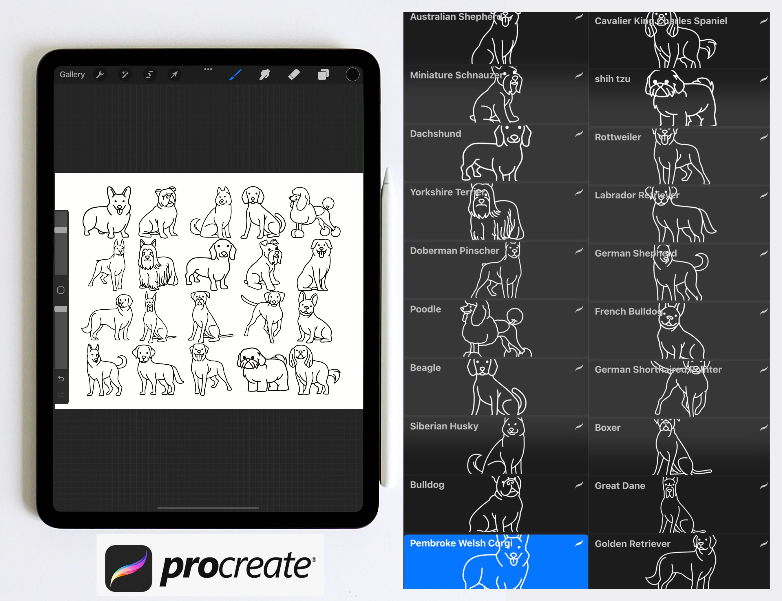 Cartoon Dogs Outlines Procreate Brush Stamps, 20 Dog Brushes - Etsy