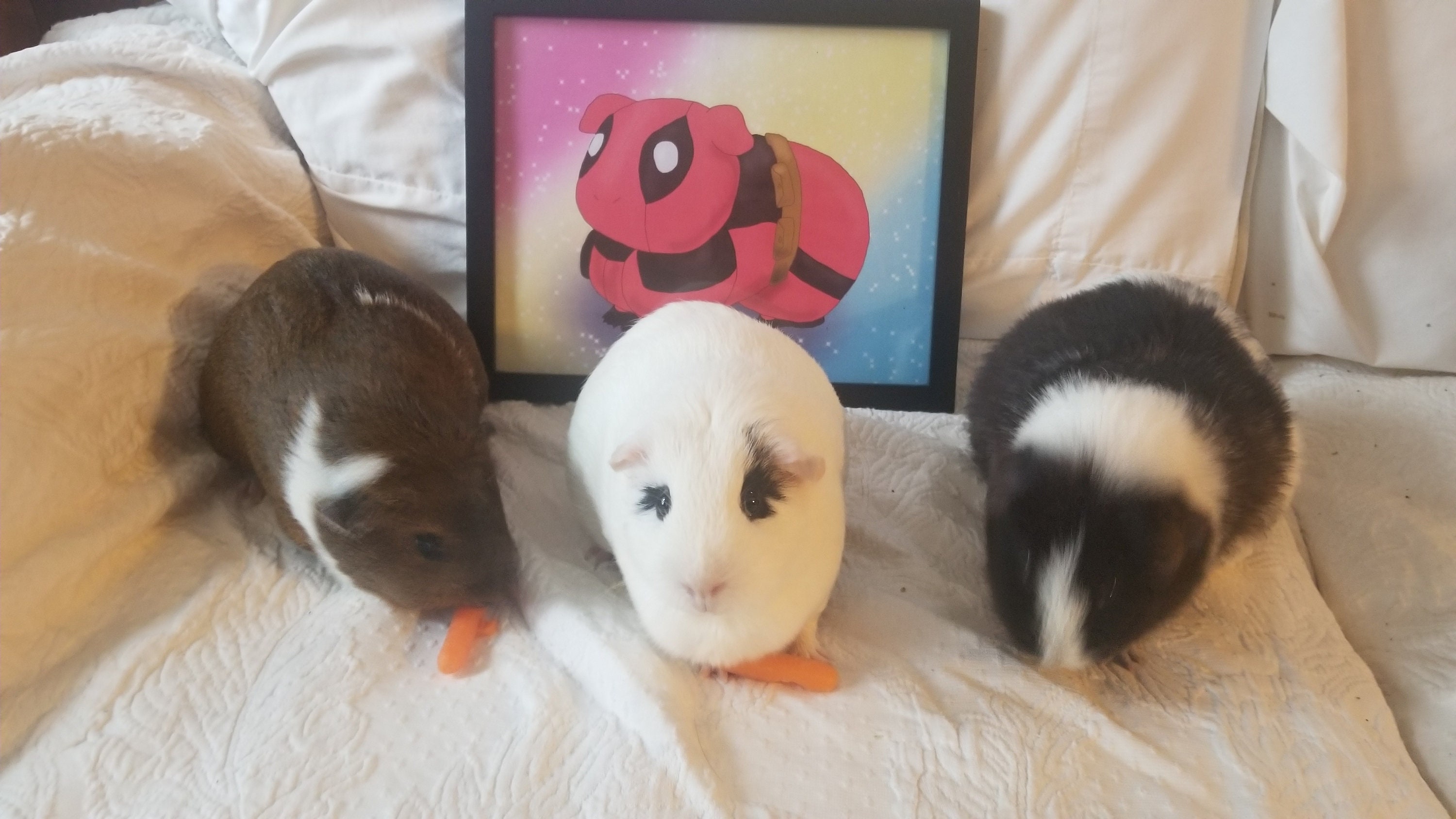 Thor: Pig of Thunder - Etsy