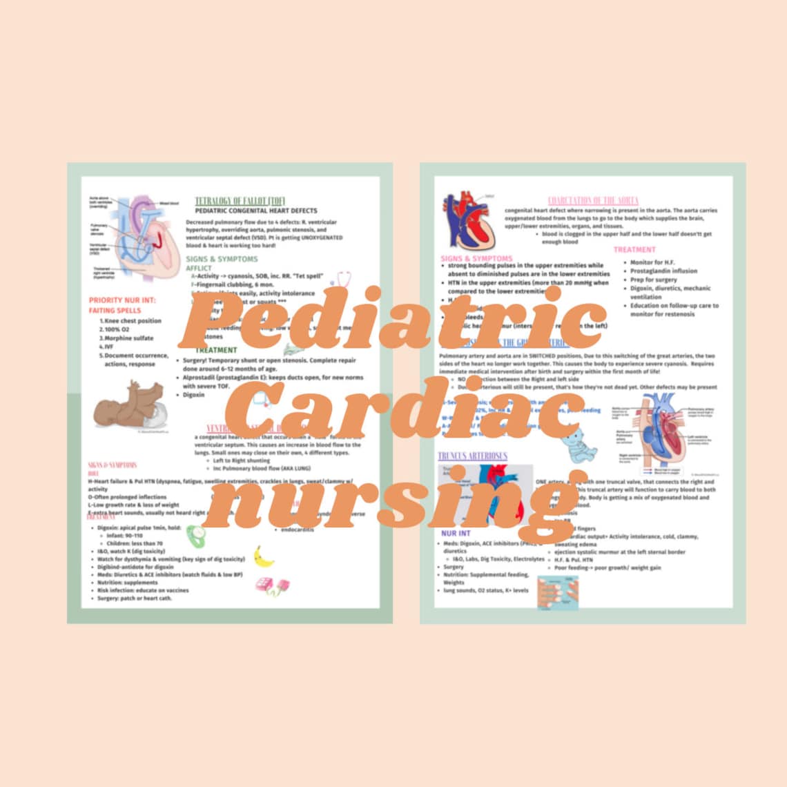 Pediatric Nursing Notes, Cardiac Disorders, RN - Etsy