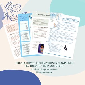 Mental Health Bundle for RN ADN Nursing Students Pdf - Etsy