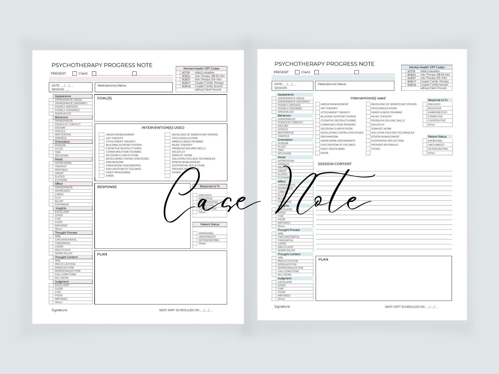 Psychotherapy Progress Note Template Case Note Private | Etsy