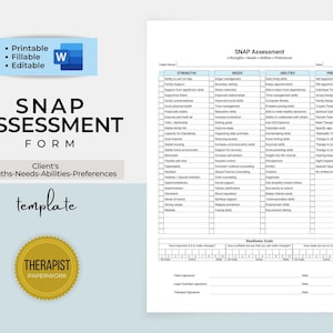 Strengths Needs Abilities Preferences Assessment Template - Etsy