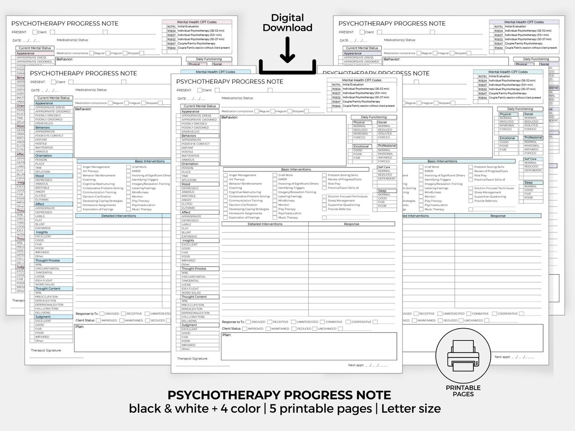 Psychotherapy Progress Note Template, BIRP Note Printable, Therapy Practice Documentation ...