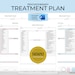 Psychotherapy Treatment Plan Editable Word Template, Counseling Plan ...