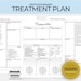 Psychotherapy Treatment Plan Editable Word Template, Counseling Plan ...