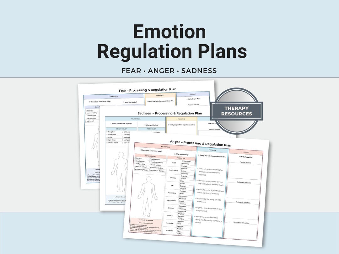 Emotion Regulation Plan, Feelings Processing Guide, Emotional Literacy ...