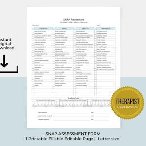 Strengths, Needs, Abilities, Preferences Assessment Template Fillable ...