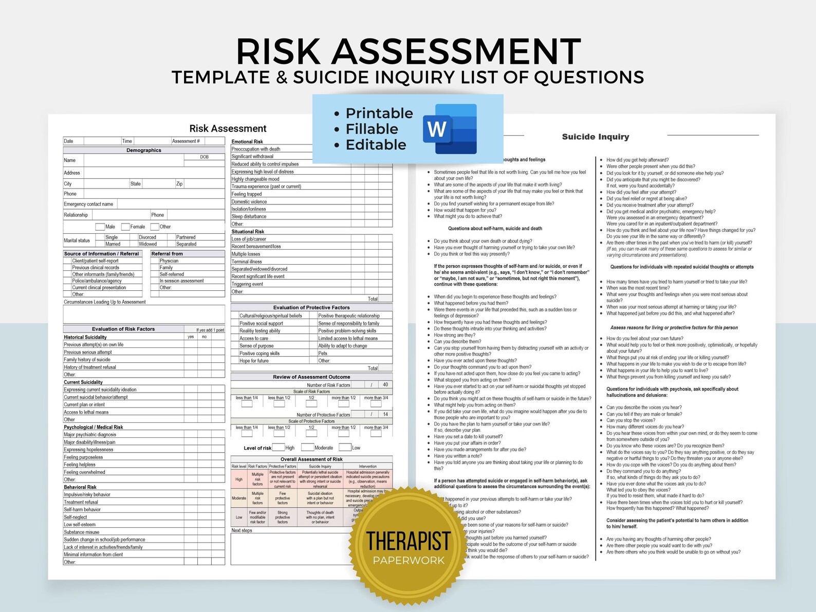 Risk Assessment Template Fillable Suicide Assessment Form - Etsy