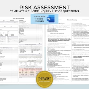 Risk Assessment Template Fillable Suicide Assessment Form - Etsy