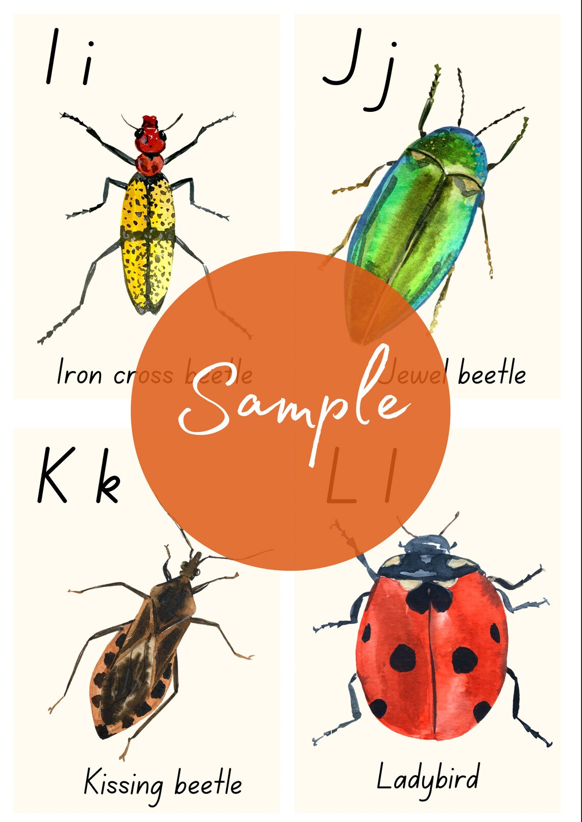 BEETLE ALPHABET flashcards printable EYLF preschool | Etsy