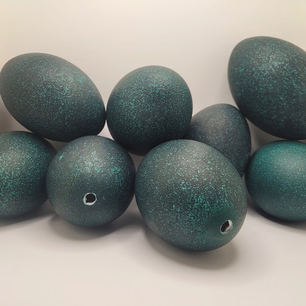 Emu Egg - Etsy