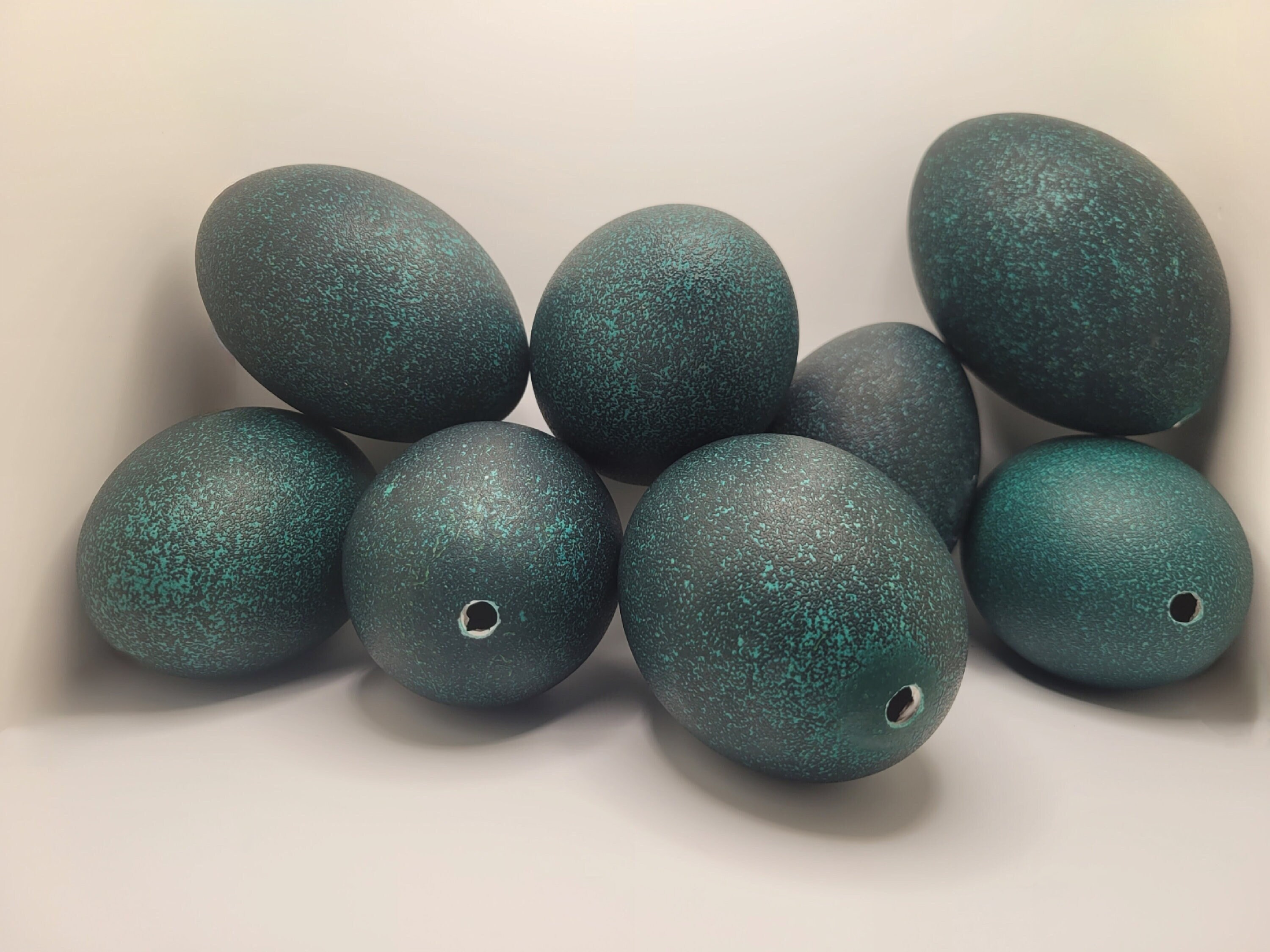 Hollowed Emu Egg - Etsy