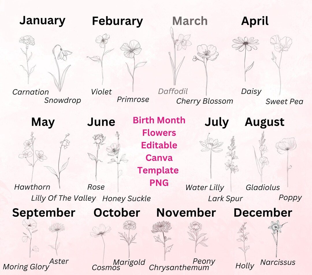 Editable Birth Flower Bundle PNG, Custom Birth Flower Art Bundle ...