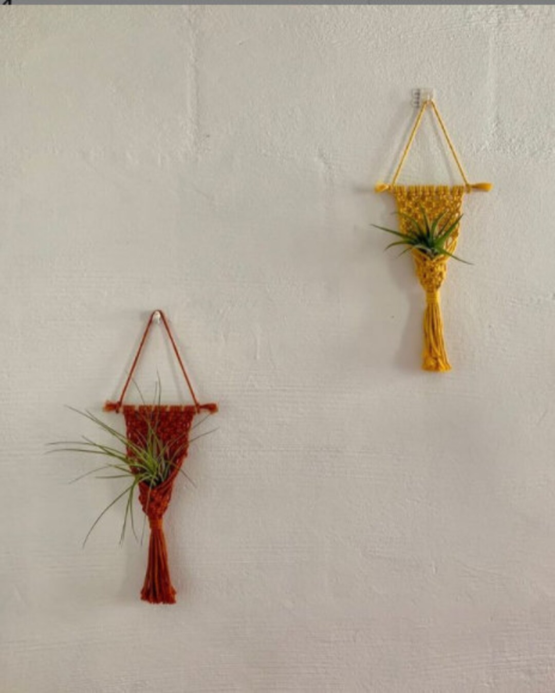 Macrame Air Plant Hangers Tillandsias Hanging Wire Baskets Home Decor ...
