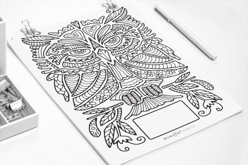 Coloring OWL 52 Week Challenge: Goal Setting, Progress Tracker, Habit ...