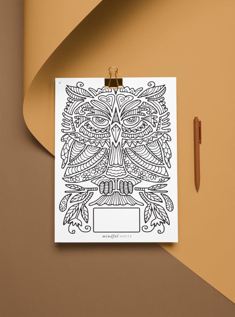 Coloring OWL 52 Week Challenge: Goal Setting, Progress Tracker, Habit ...