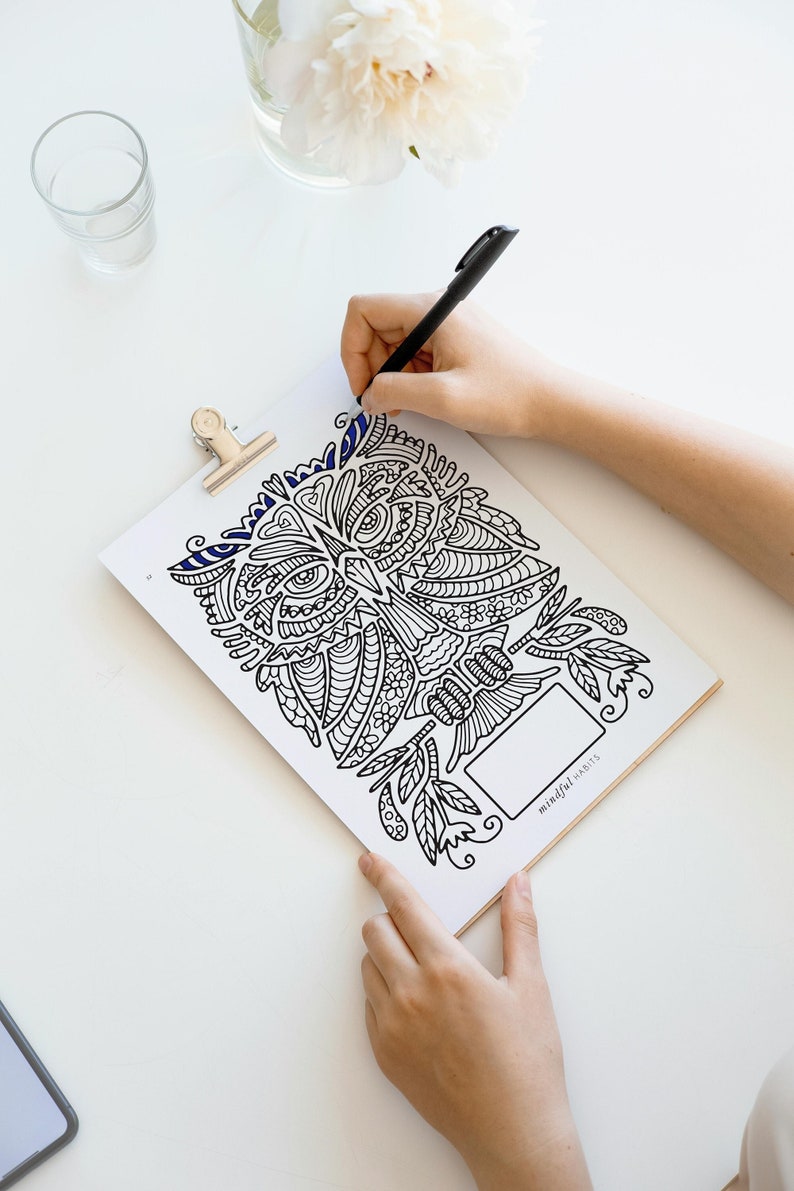 Coloring OWL 52 Week Challenge: Goal Setting, Progress Tracker, Habit ...