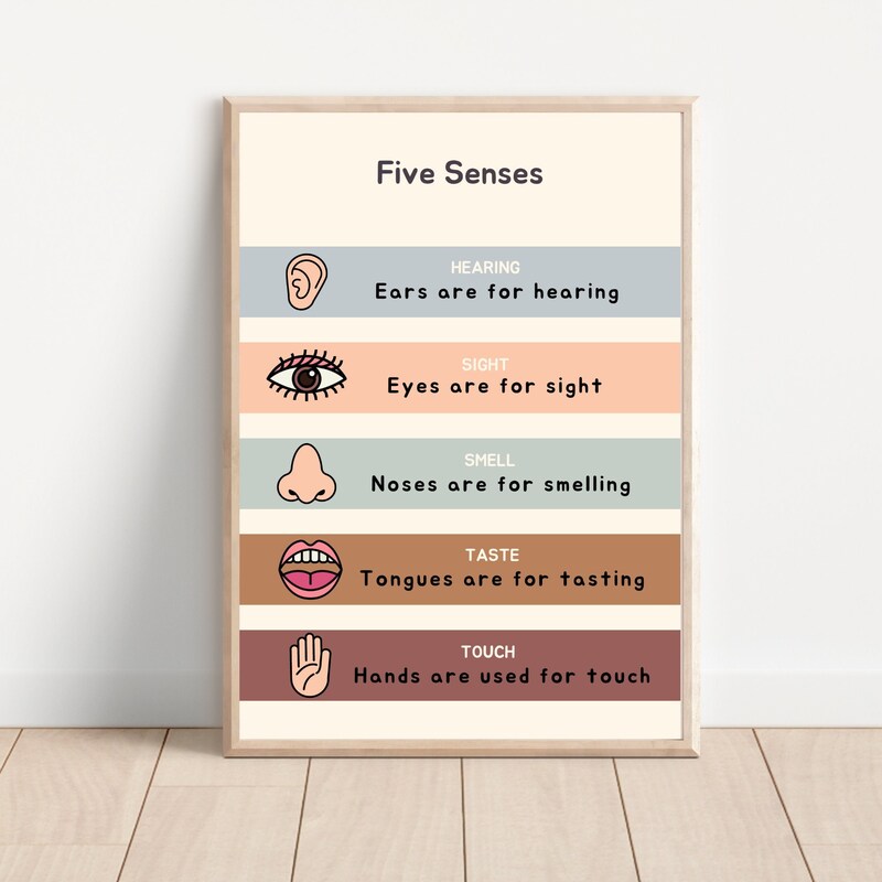 Five Senses Poster - Etsy