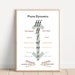 Music Theory Posters,piano Notes,music Education Wall Art for Music ...