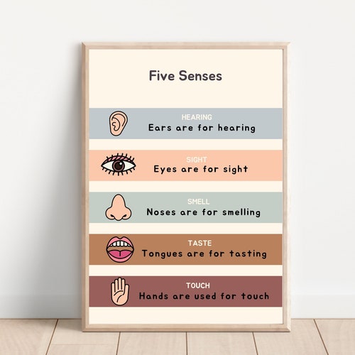 Five Senses Printable Educational Poster for Kidsclassroom - Etsy