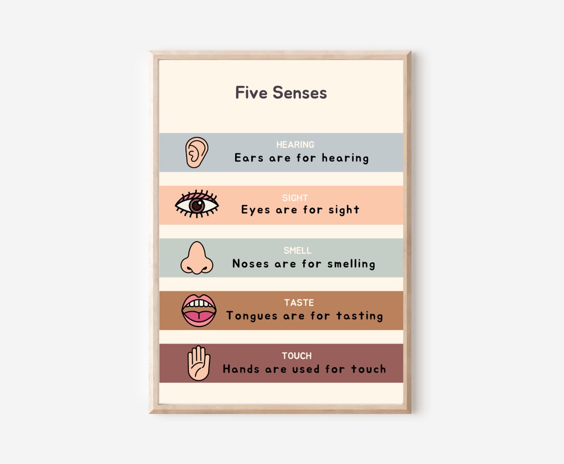 Five Senses Printable Educational Poster for Kidsclassroom | Etsy