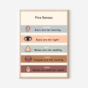 Five Senses Printable Educational Poster for Kids,classroom Wall Art ...