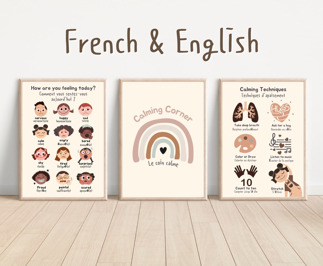 Set of 3 French Educational Poster,calming Corner,feeling Poster ...