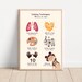 Set of 3 Educational Posters,bilingual Spanish Emotion,calming Corner ...