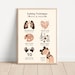 Set of 4 Educational Posters,bilingual Spanish Emotion,calming Corner ...