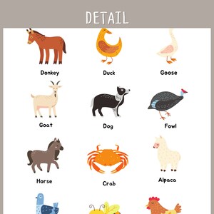 Educational Animals Nursery Posters Set,home School Wall Printable ...