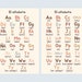 Spanish Educational Poster Set spanish Abcstudy - Etsy