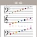 Music Theory Posterspiano Notesmusic Education Wall Art for - Etsy