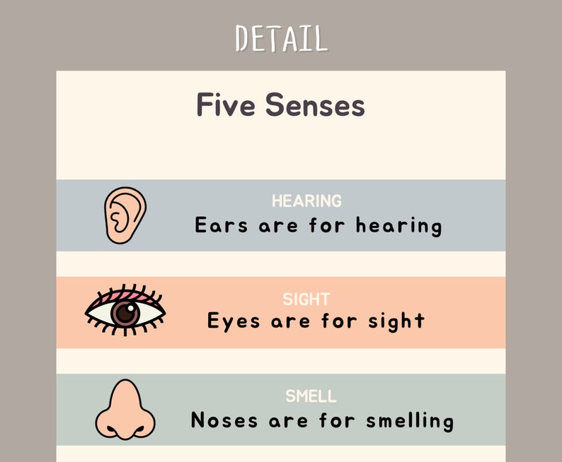 Five Senses Printable Educational Poster for Kidsclassroom | Etsy